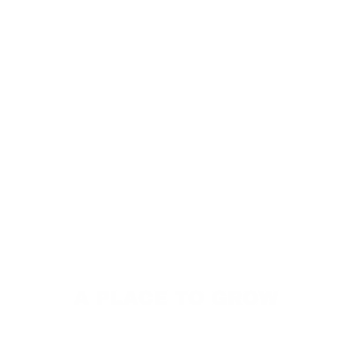 City of New Sharon, IA – A Place to Grow